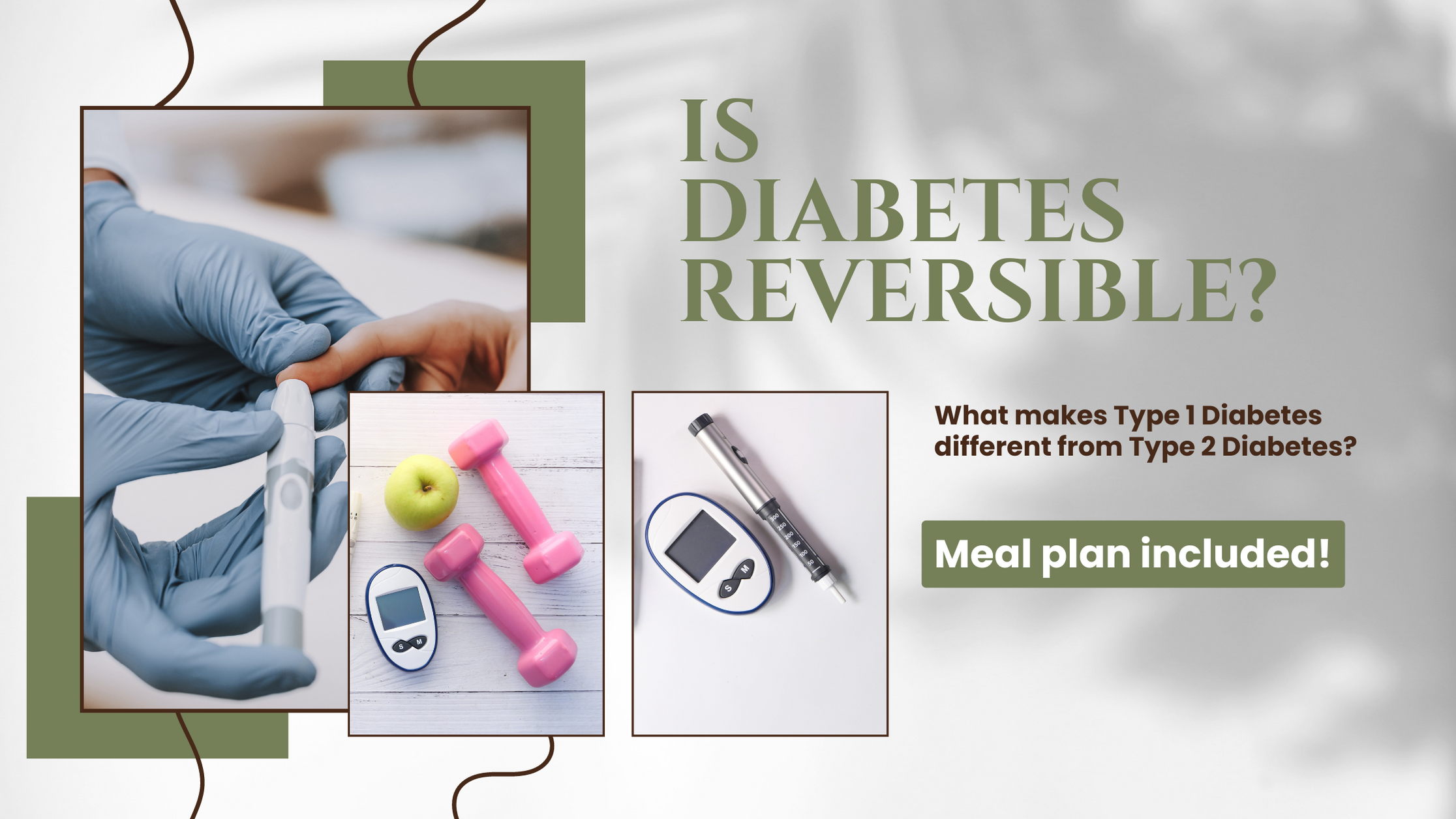 What Makes Type 2 Diabetes Reversible But Not Type 1? — Roshni Sanghvi