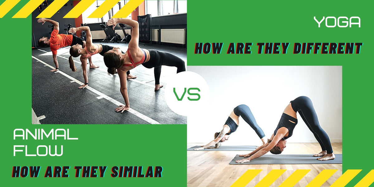 Difference between Animal Flow and Yoga — Roshni Sanghvi