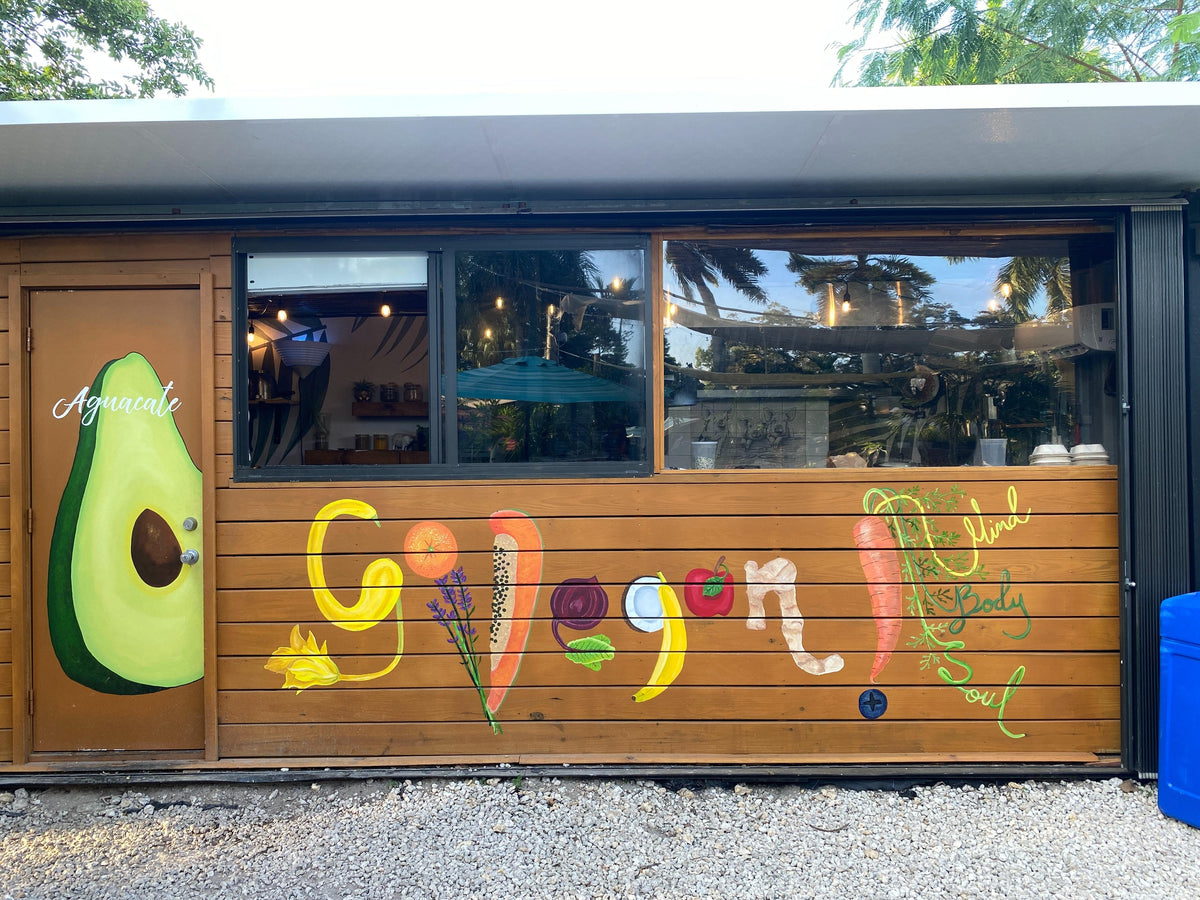 Top 10 Vegan Restaurants in Bangalore You Need To Try — Roshni Sanghvi Top 10 Vegan Restaurants in Bangalore You Need To Try — Roshni Sanghvi